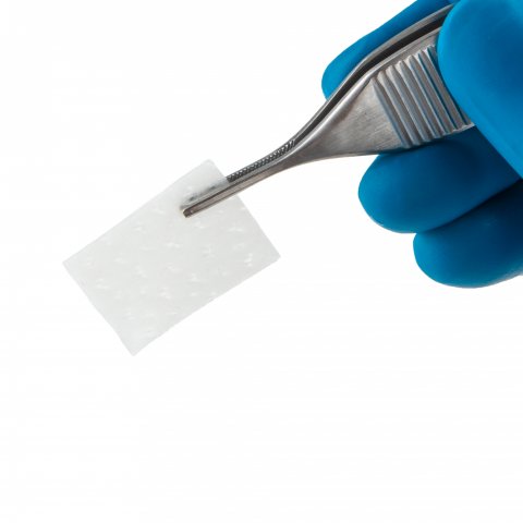 Maxxeus™ MaxxDerm® Resorbable Membranes - Hesira™ Med Inc. (Canada ...