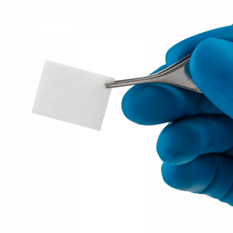 Maxxeus™ MaxxDerm+® Resorbable Membranes - Hesira™ Med Inc. (Canada ...